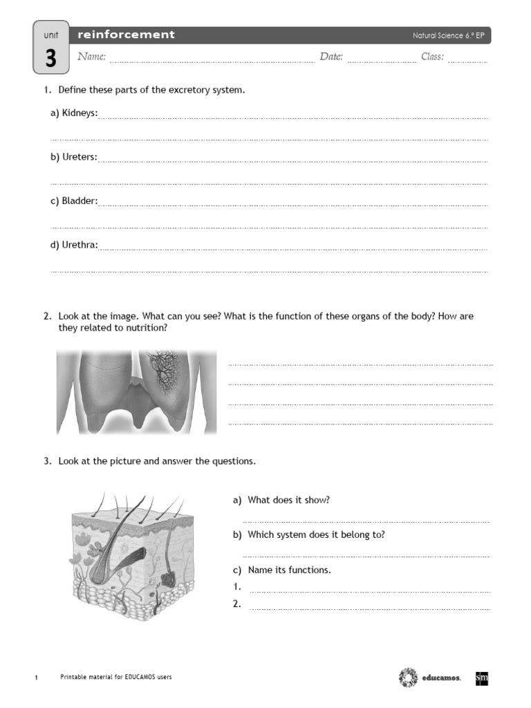 Natural Science Homework Reinforcement Worksheet | PDF