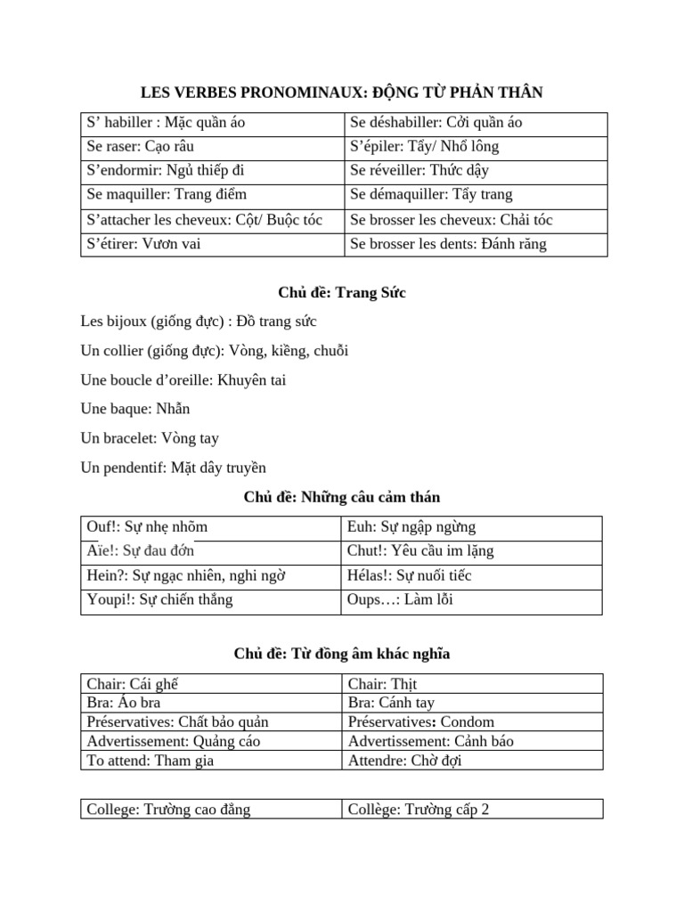 Verbes Pronominaux et Thèmes en Français | PDF | Vietnam