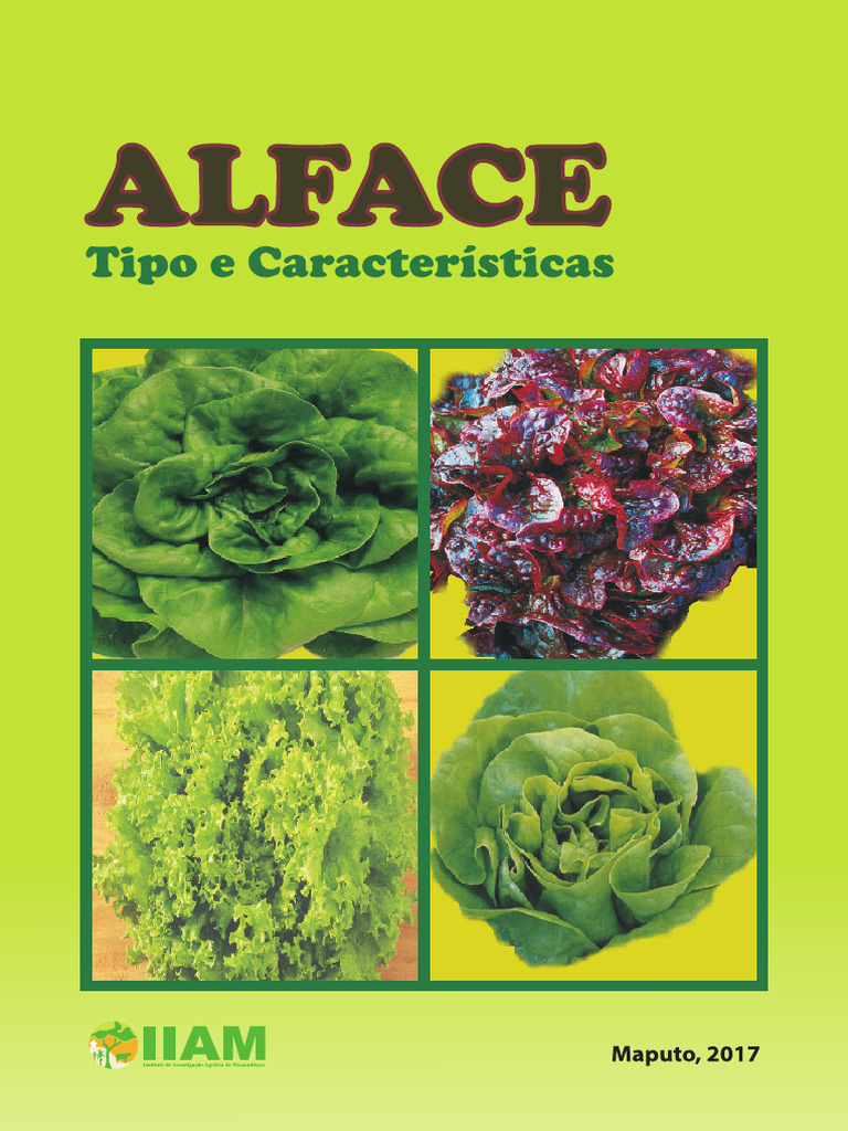 Manual de Alface | PDF