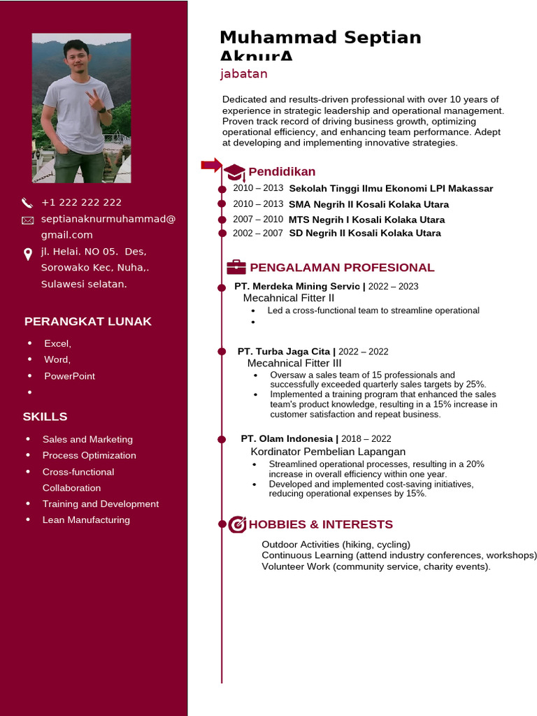 241 Chronological Resume Sample | PDF