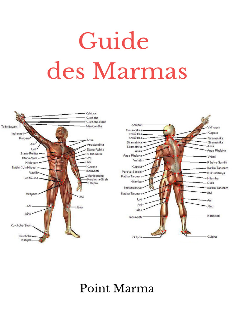 Guide Marmas.02 | PDF