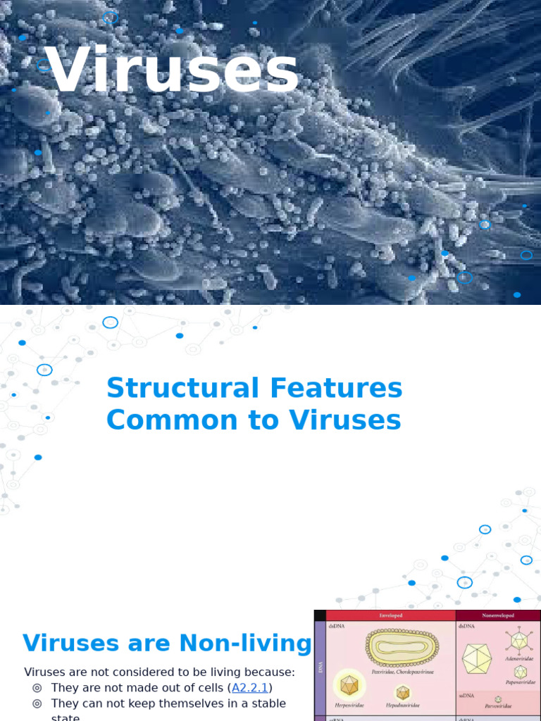 A3.2 Virus | PDF