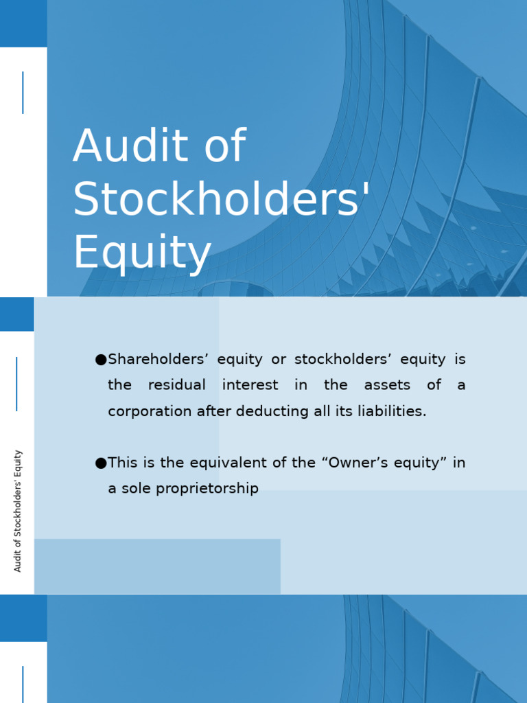 Audit of Stockholders' Equity | PDF