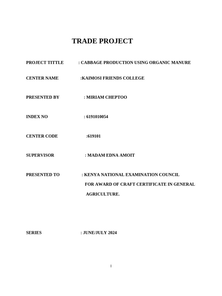 PROJECT | PDF