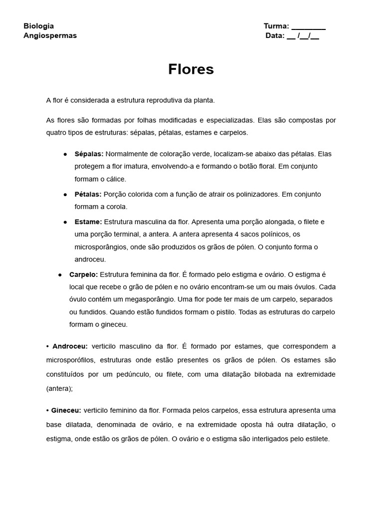 Angiospermas - Flores | PDF