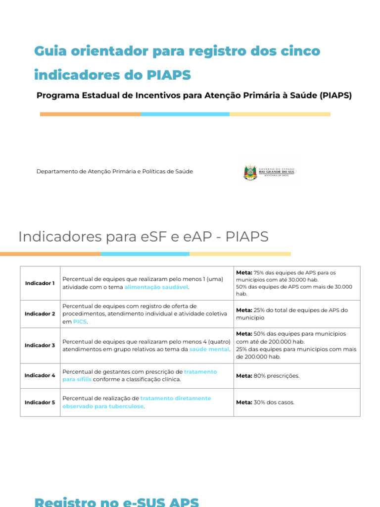 Guia Registro Indicadores Piaps 2 | PDF