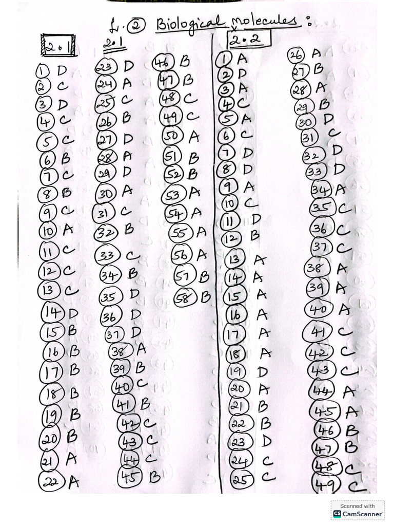 Answer Key - Biological Molecules - Paper | PDF