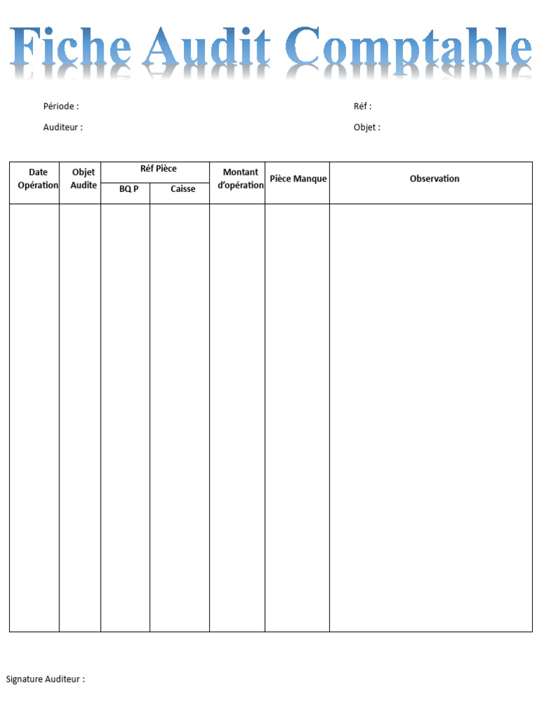Fiche Audit PDF | PDF