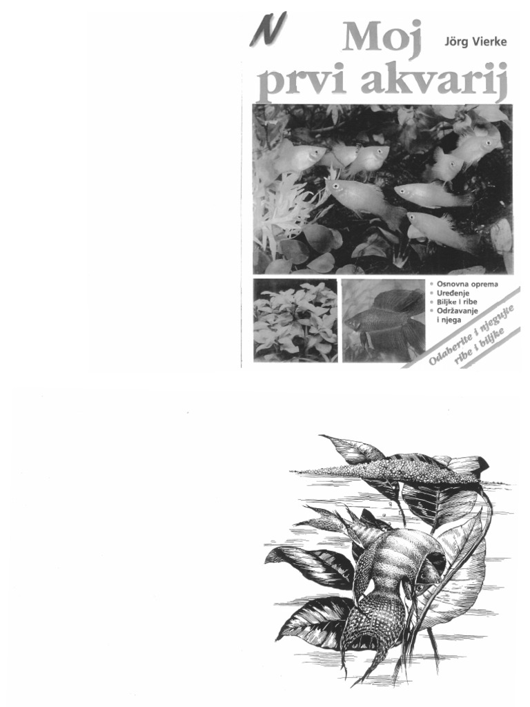 Moj Prvi Akvarij | PDF