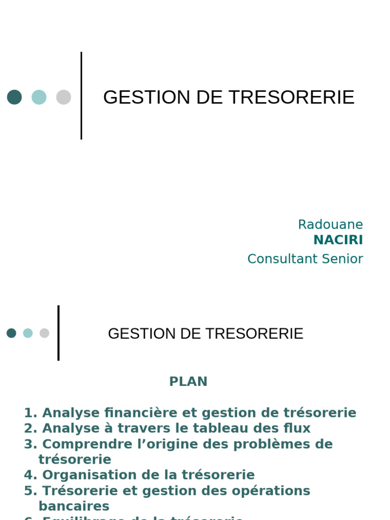 Gestion de Trésorerie : Analyse et Stratégies | PDF | Banques | Fonds de roulement