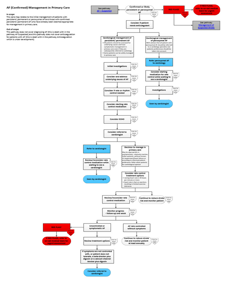 Af Confirmed Management Primary Care2 | PDF