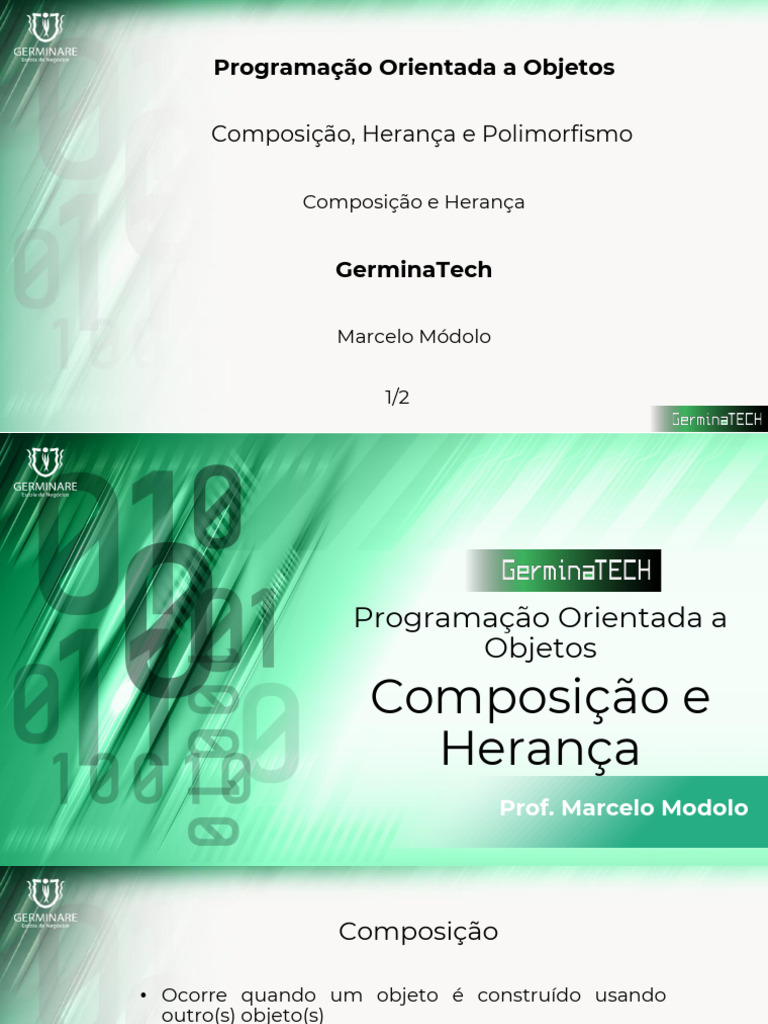 4 1 Poo Composicao E Heranca Pdf