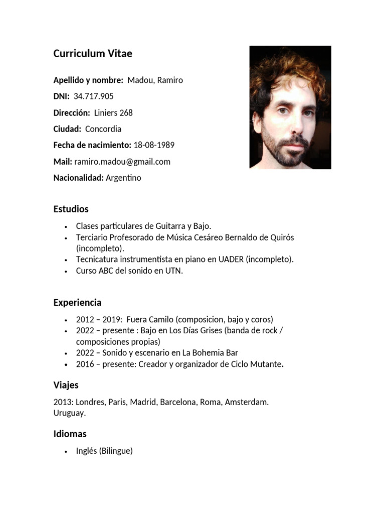 Curriculum Vitae Los Dias Grises | PDF