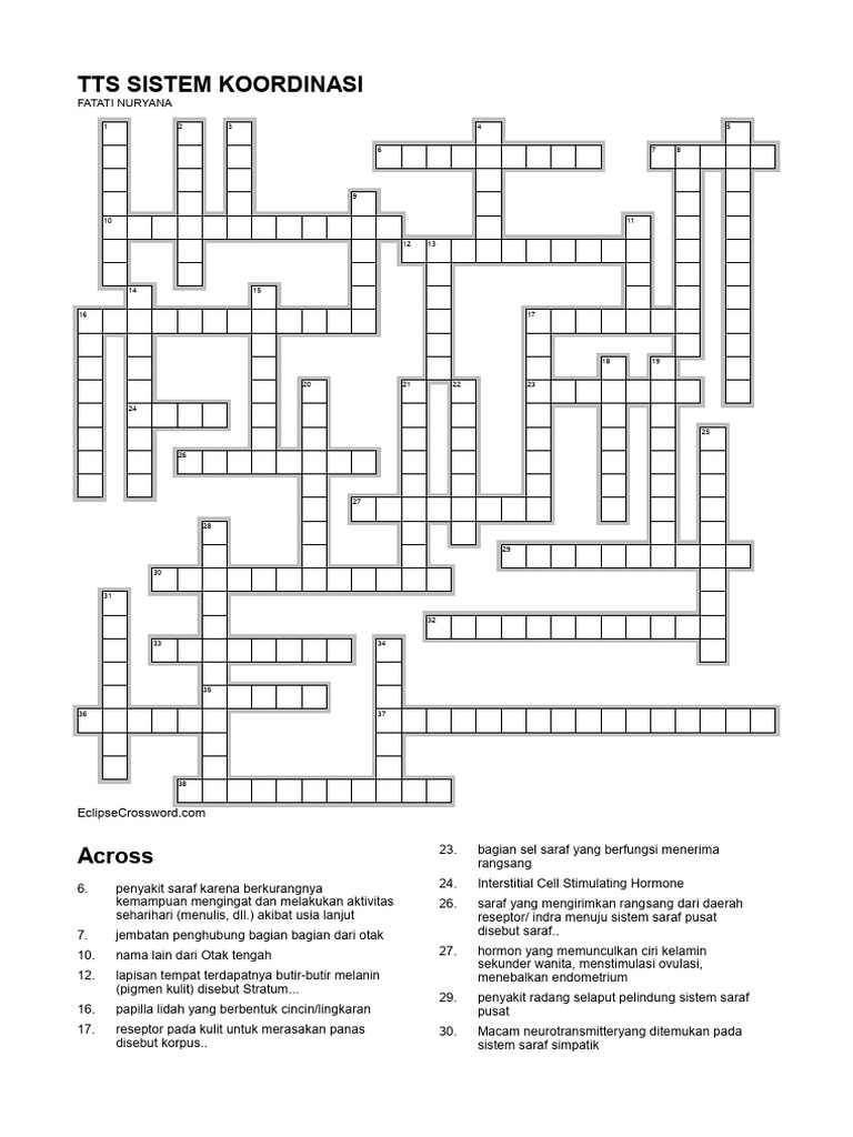 Soal TTS Sistem Koordinasi | PDF | Ajedrez