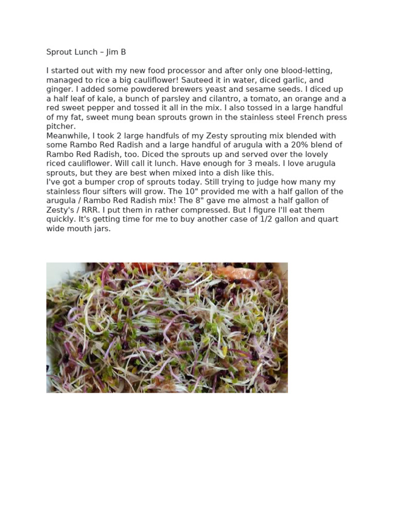 Sprouts Lunch - Jim B | PDF