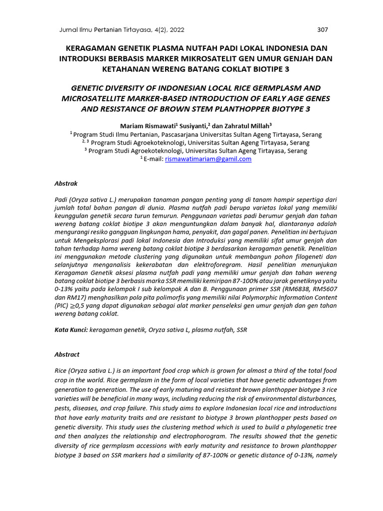 KERAGAMAN GENETIK PLASMA NUTFAH PADI LOKAL INDONESIA (Ok) | PDF