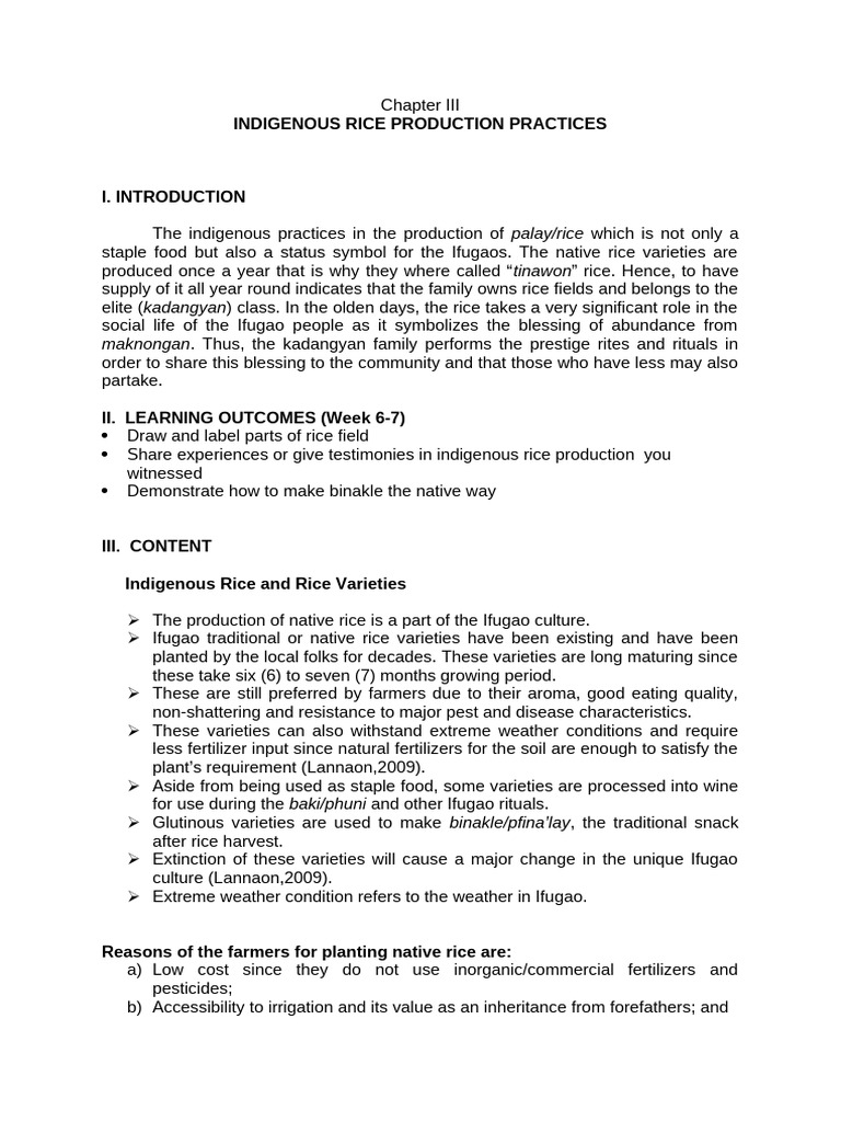 MODULE IKSP III Indigenous Rice Productn Practices | PDF