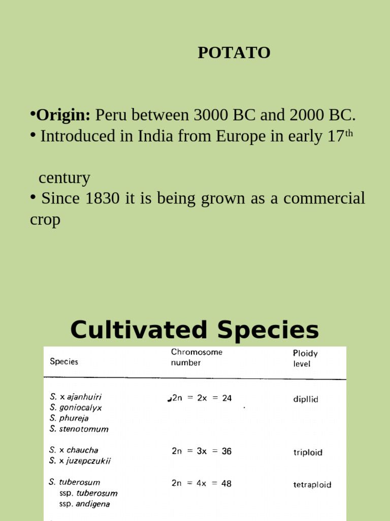 Potato Cultivation | PDF