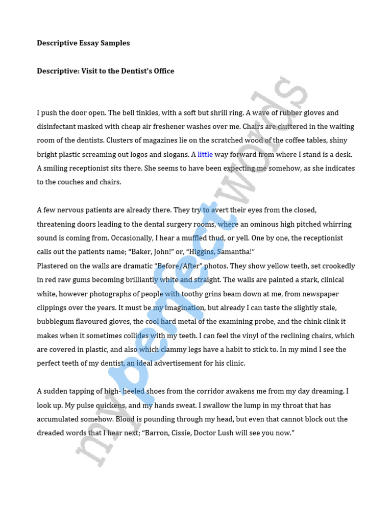 Short Descriptive Essay Example PDF | PDF