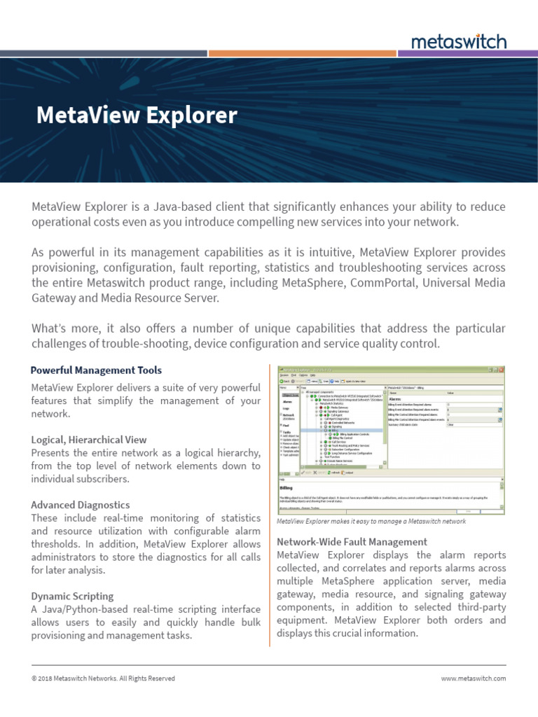 Metaswitch Metaview Explorer | PDF