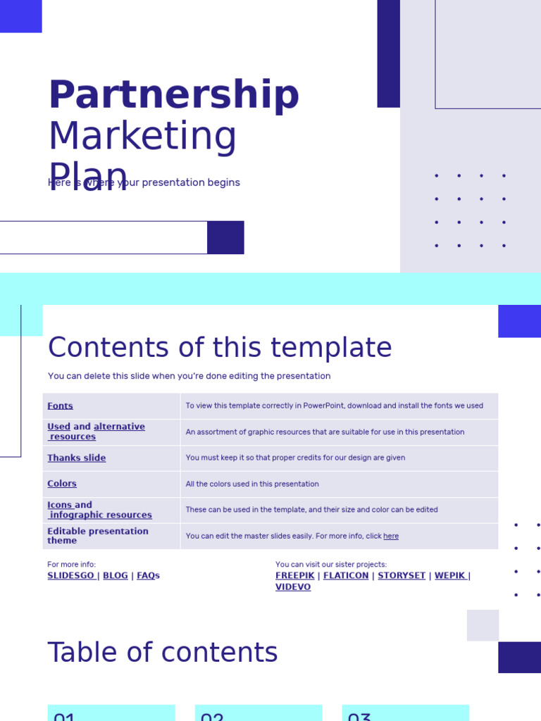 Partnership Marketing Plan Layout | PDF