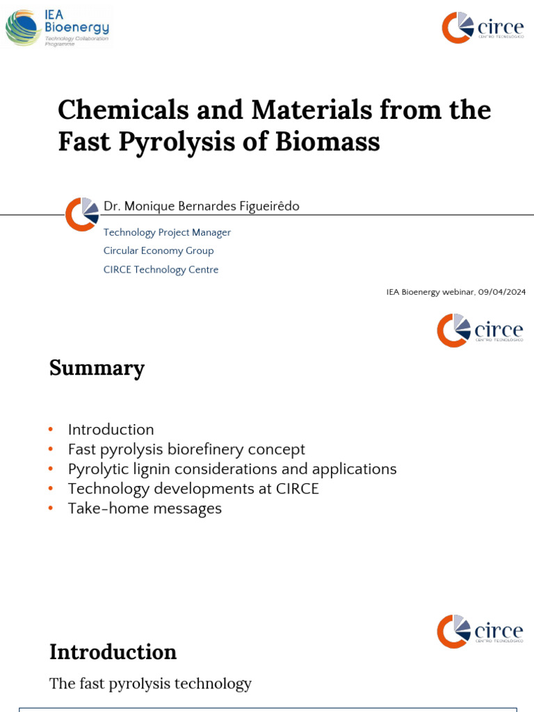 (01-Presentasi) Chemicals and Materials From The Fast Pyrolysis of Biomass (MB Figueirêdo) (2024 ...