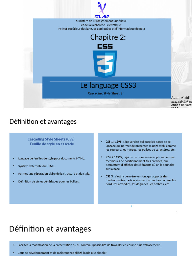 Chapitre2 Le Langage Css | PDF