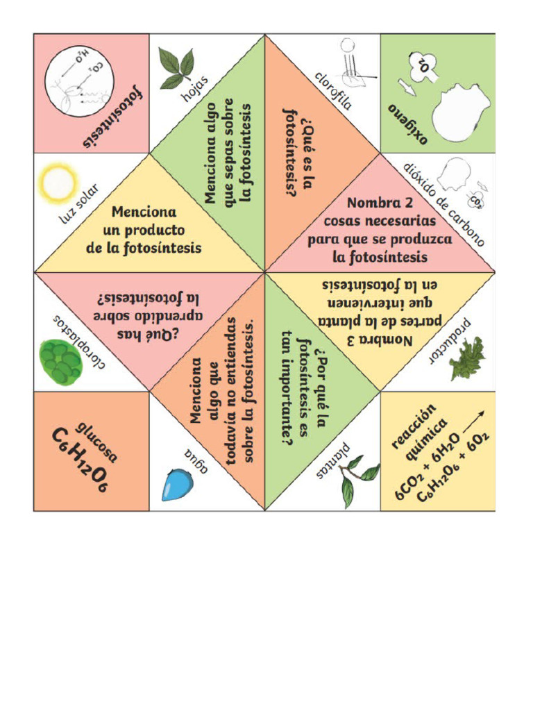 Comecocos Fotosintesis | PDF