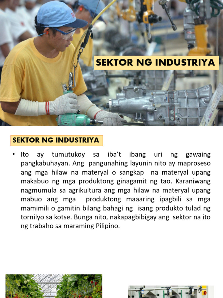 Sektor NG Industriya | PDF