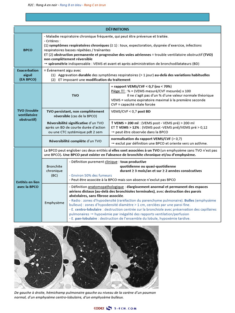 ITEM-R2C 209 (Ex-205) - BPCO - 0 | PDF