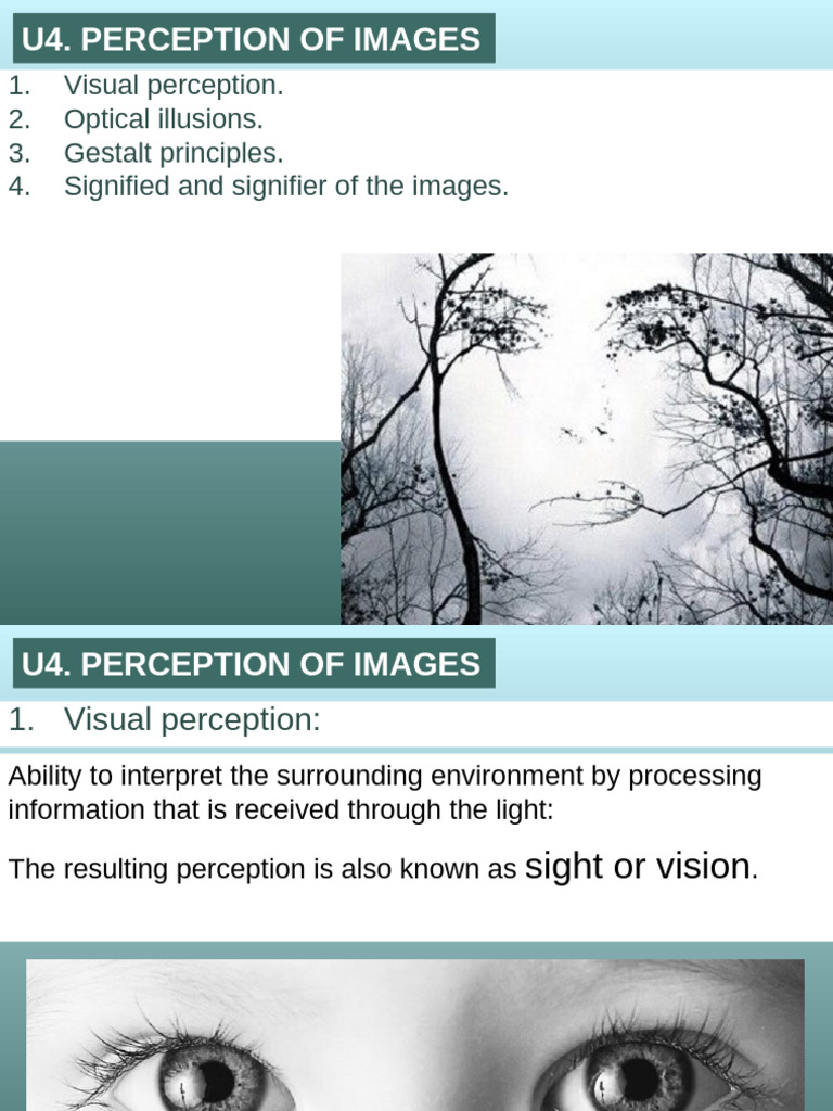 Perception of Images | PDF