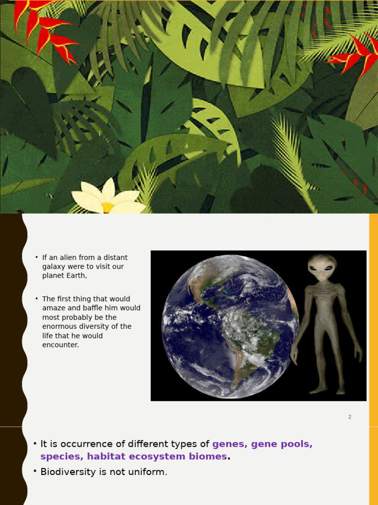 Biodiversity and Conservation English | PDF