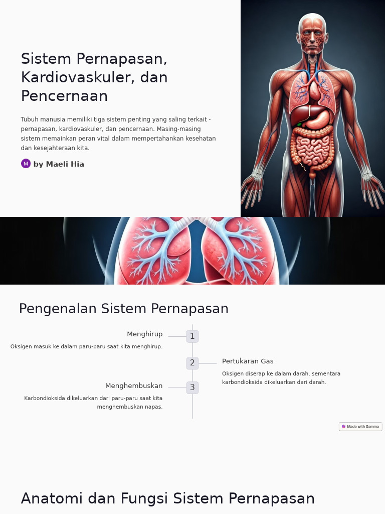 Sistem Pernapasan Kardiovaskuler Dan Pencernaan | PDF
