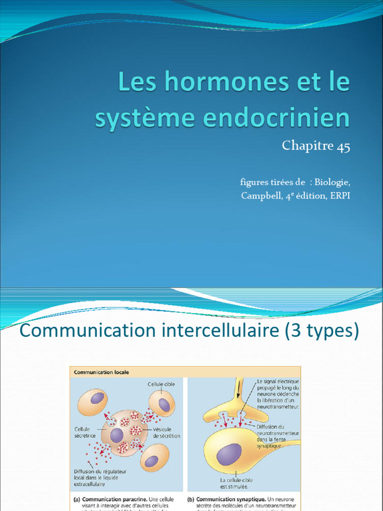 Bloc_2b_-_Les_hormones_et_le_système_endocrinien | PDF