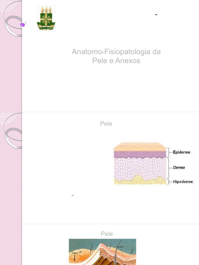 Anatomo-Fisiopatologia Da Pele e Anexos-Min | PDF