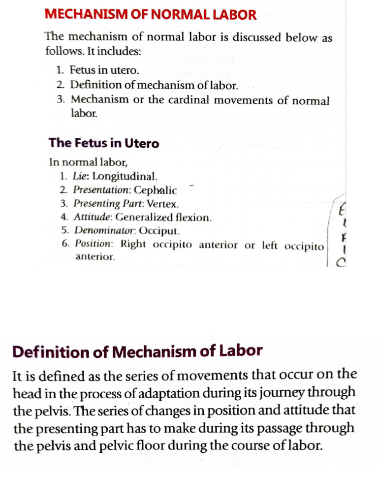 mechanism of labor | PDF