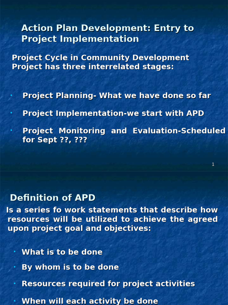 Action Plan | PDF