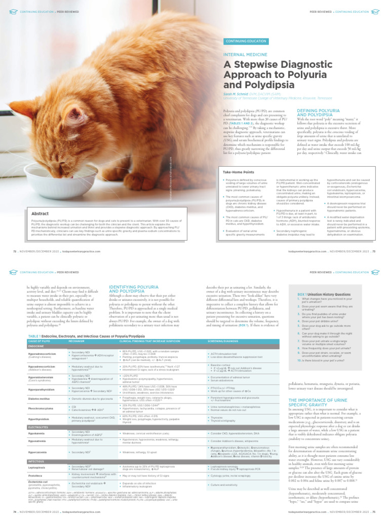 TVP 2023 1112 - Polyuria Polydipsia - 2 | PDF