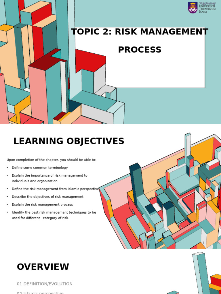 Topic 2 - Risk Management Process | PDF