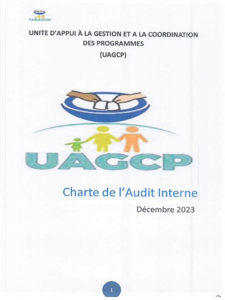 Charte D'audit | PDF
