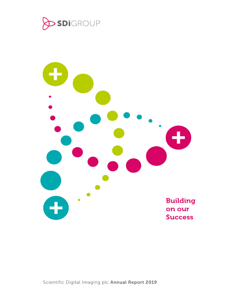 SDI Report 2019 | PDF