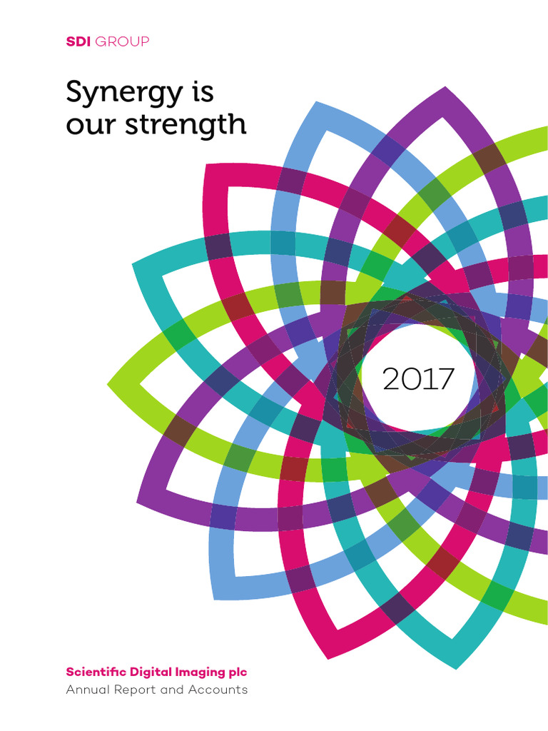 SDI Group 2017 Annual Report Summary | PDF