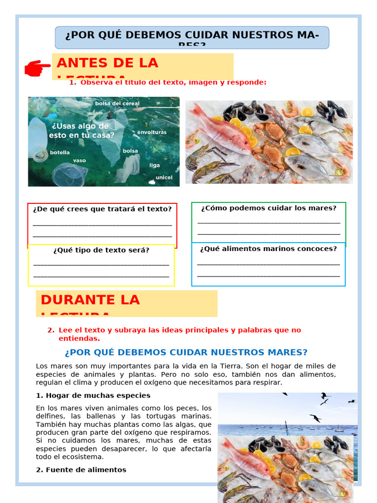 FICHA COMU LUN 30 POR QUE CUIDAR NUESTROS MARES | PDF