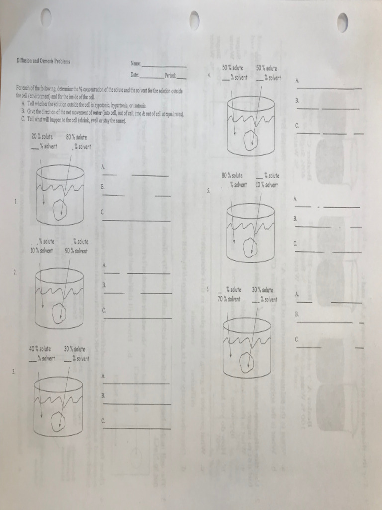 Worksheet - Osmosis Practice Questions | PDF