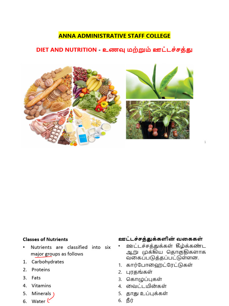 Diet and Nutrition Part 1 | PDF | Carbohydrates | Biomolecules