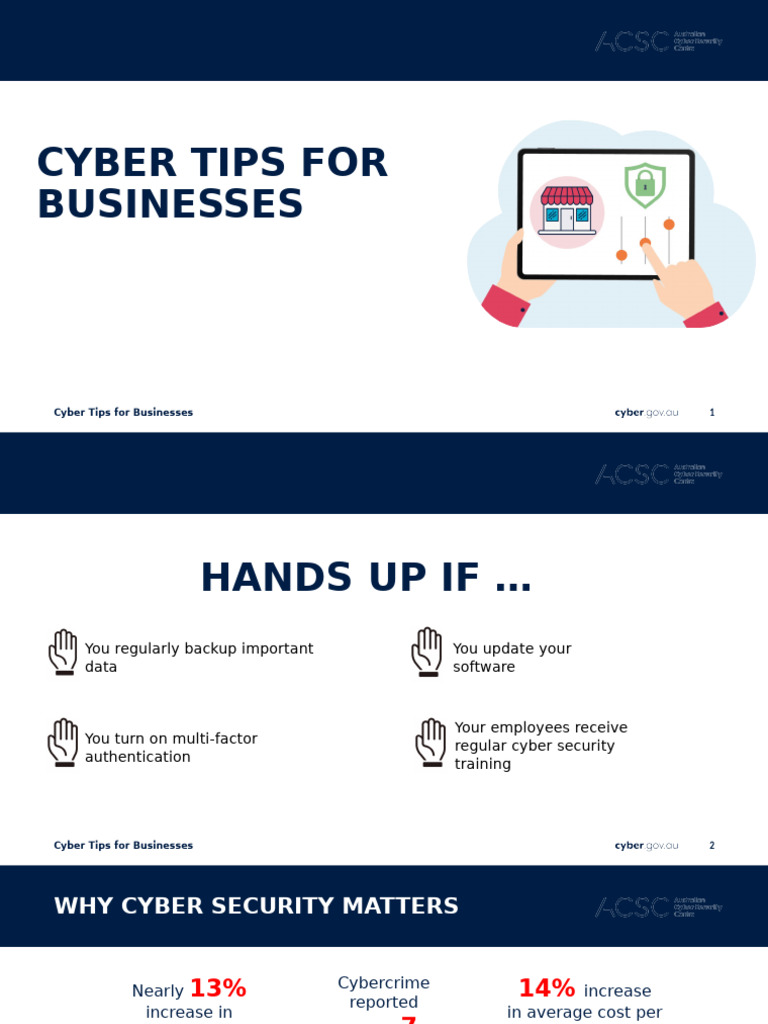 Cyber Tips For Business Presentation June 2023 | PDF