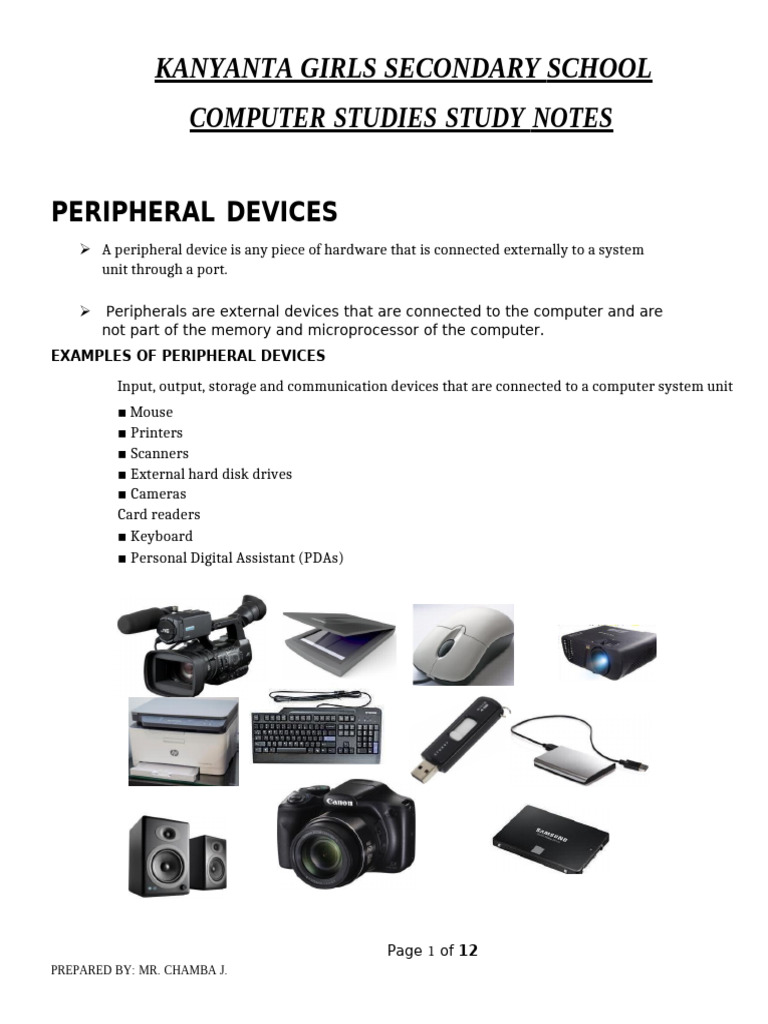 Peripheral Devices - Grade 9-1 | PDF