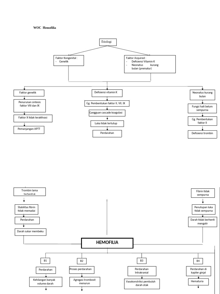 Woc Hemofilia | PDF