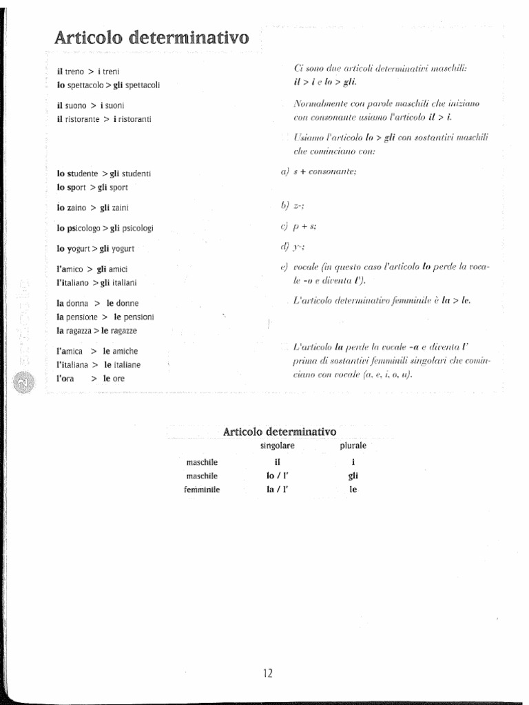 12 - Articoli Determinativi e Indeterminativi | PDF