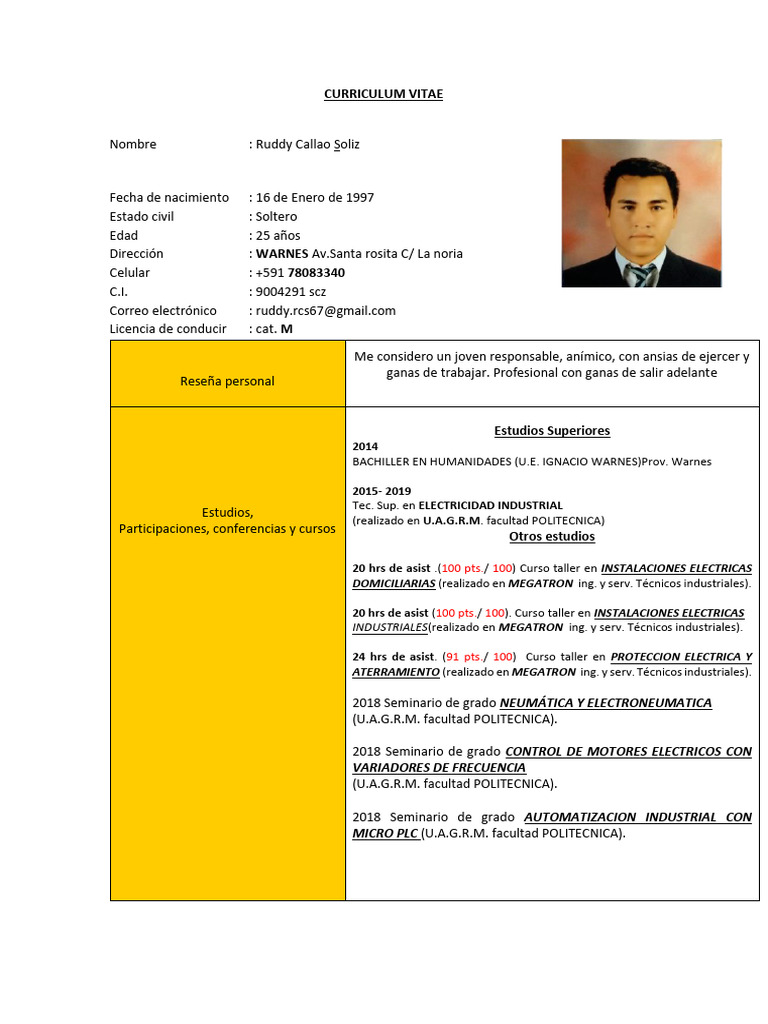 Curriculum-Ruddy Callao Soliz 2 | PDF